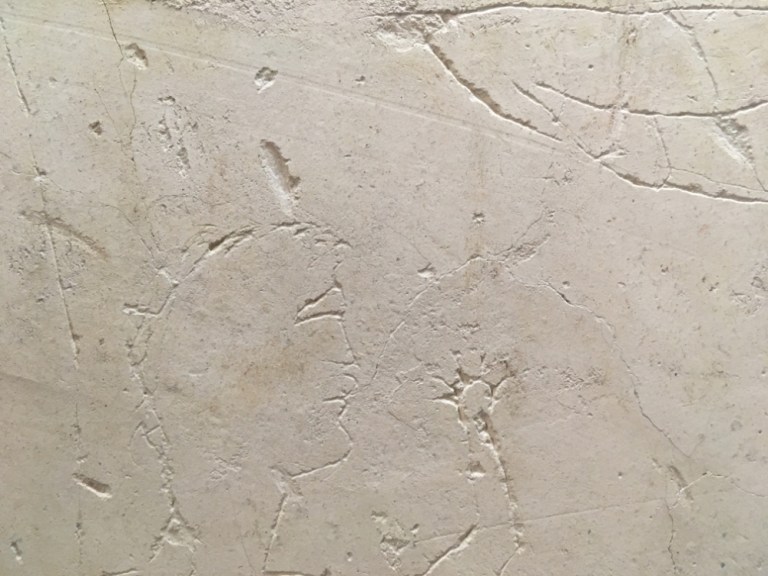 The Palatine Alexamenos Graffito | Variant Readings