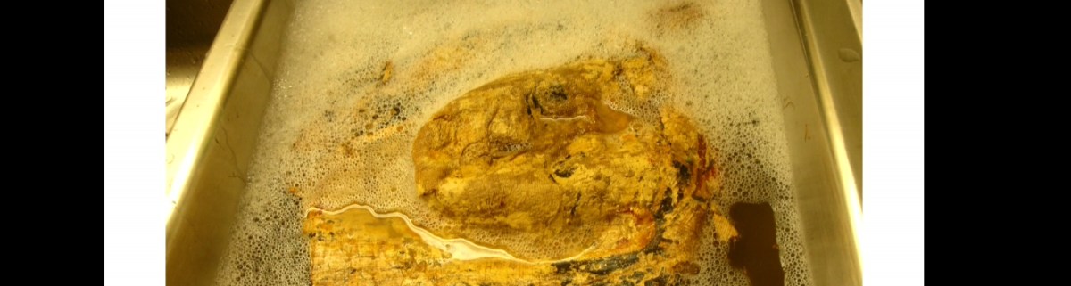 The Green Collection Mummy Masks: A Possible Source | Variant Readings