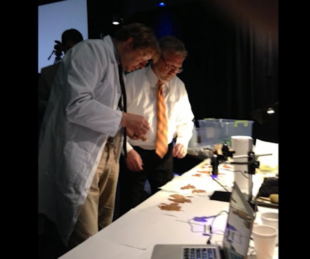 Dirk Obbink and the Museum of the Bible: A Brief History | Variant Readings