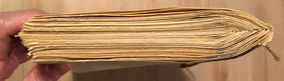 A Model of P46 | Variant Readings