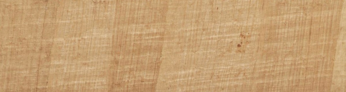 The Color(s) of Papyrus and Pliny’s Instructions | Variant Readings